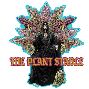 Expo - The Plant Stable